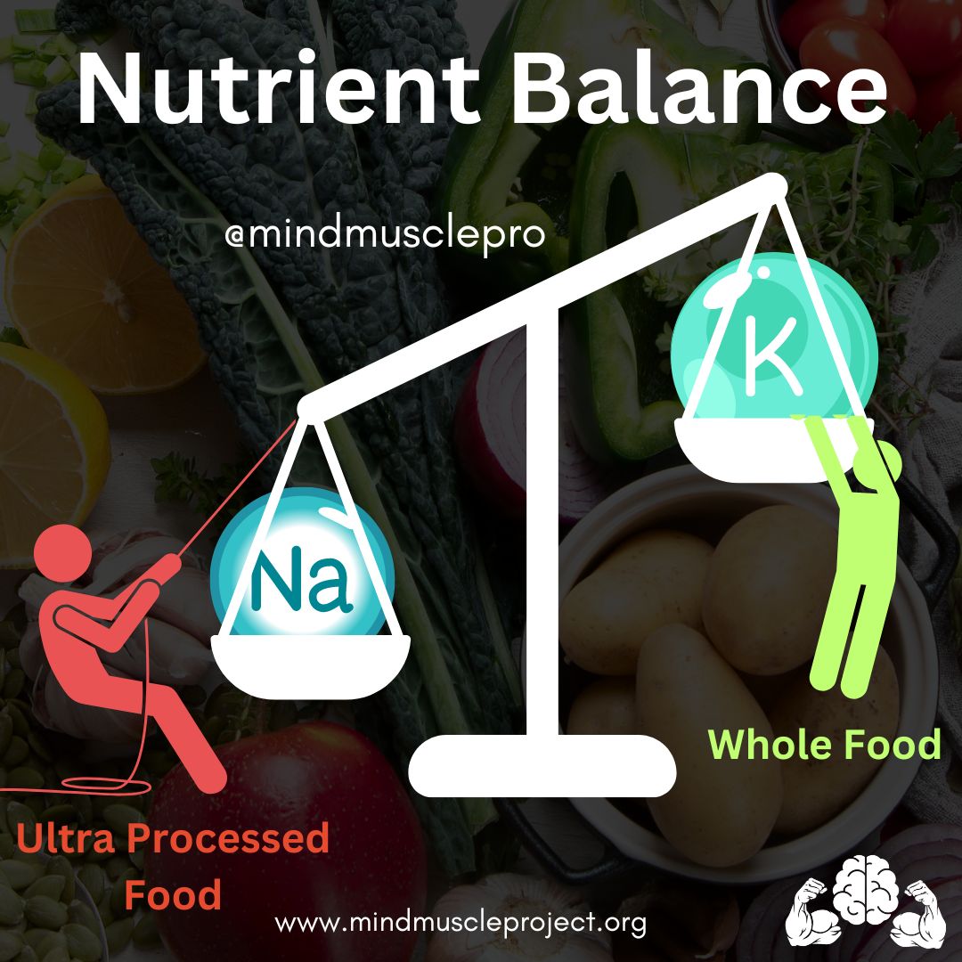 3 Critical Macronutrient Ratios - Mind Muscle Project